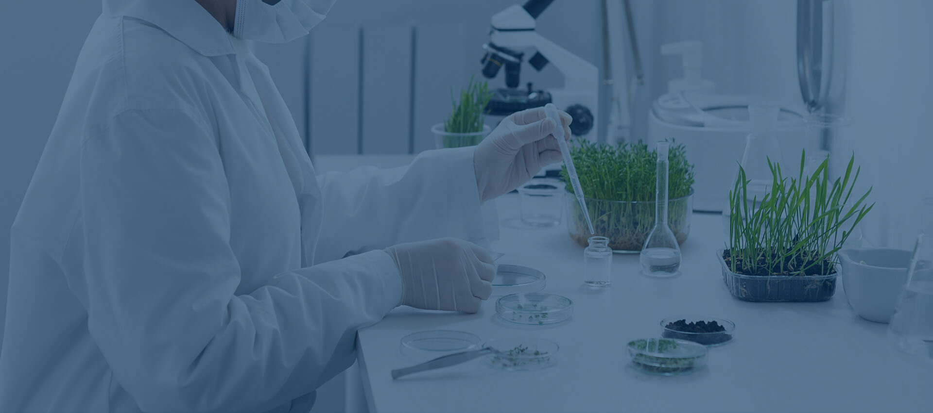 markone.co.th | MARKONE บริษัท มาร์ค วัน อินโนเวชั่น เซ็นเตอร์ จำกัด